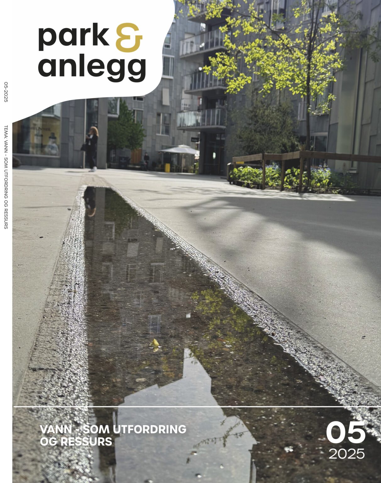 Frodig regnbed langs Bjørnstjerne Bjørnsons gate - Park & Anlegg ...